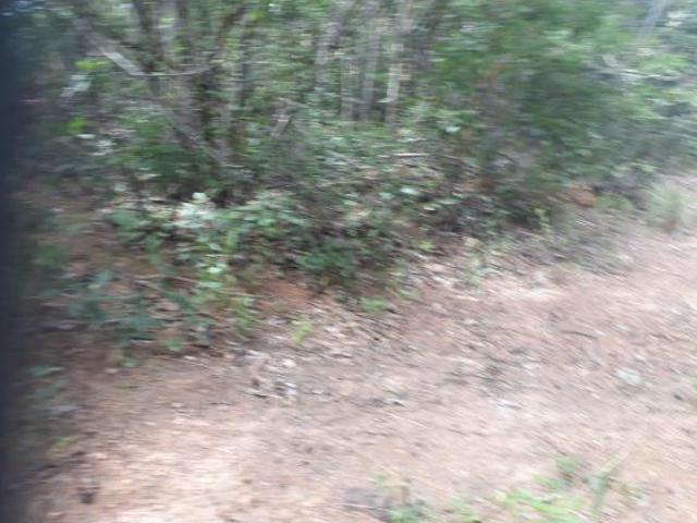 Fazenda