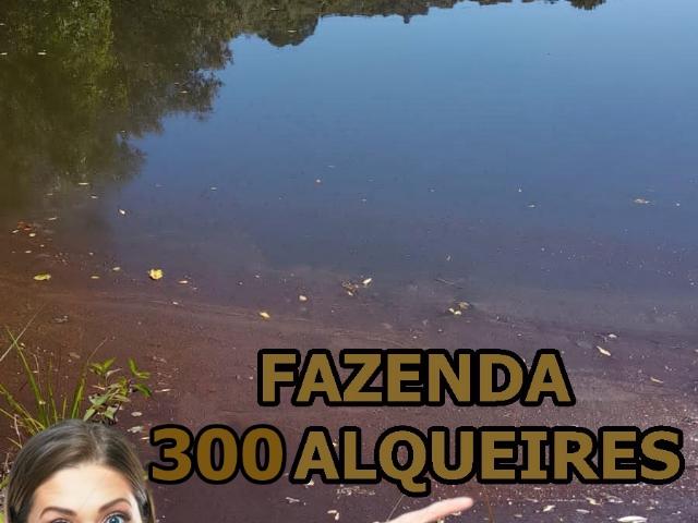 Fazenda 300 alqueires Campo Largo/Pr
