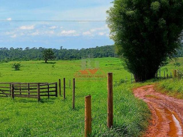 Fazenda 300 Alq. Prata/Uberlândia MG | Dupla Aptidão