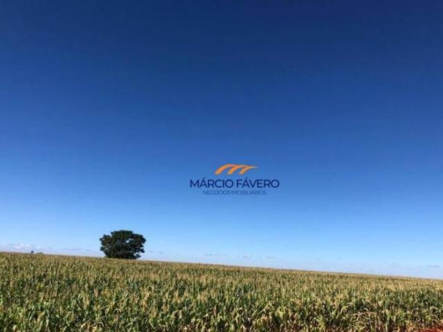Fazenda