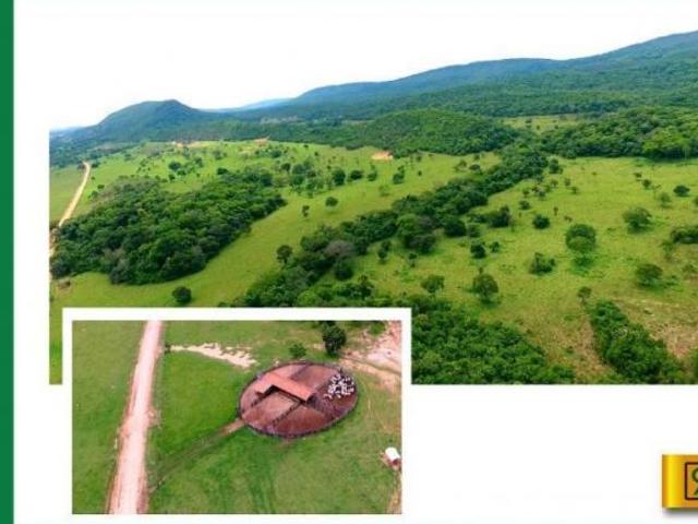 Fazenda
