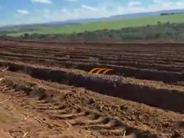 Fazenda