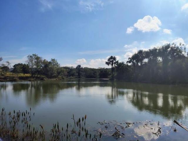 Fazenda 308 hectares em Curvelo MG