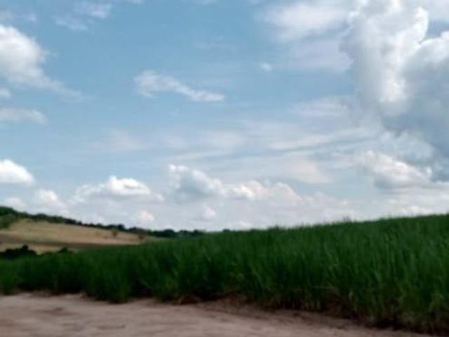Fazenda