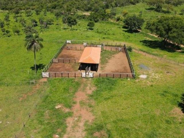 Fazenda