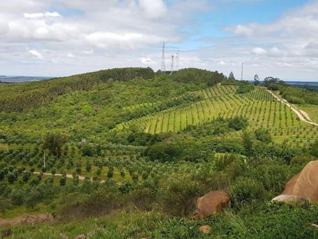Fazenda