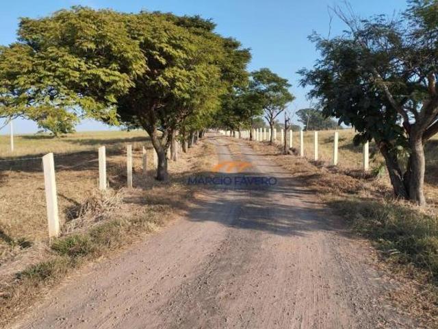 Fazenda