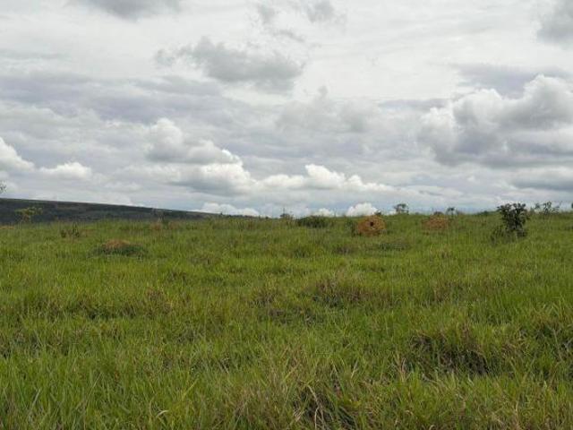 Fazenda 329 HECTARES | ENTRE ARAXÁ E TAPIRA MG