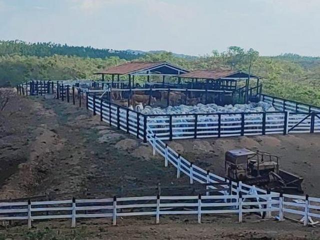 Fazenda 32 alqueires a 22 km de Taboquinha Padre Bernardo