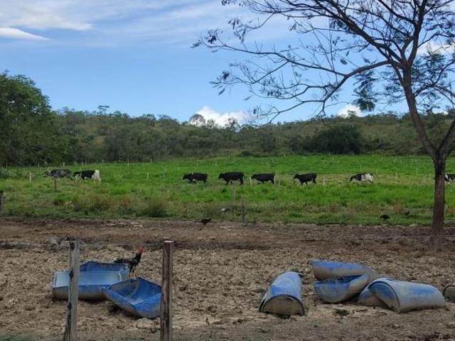 Fazenda