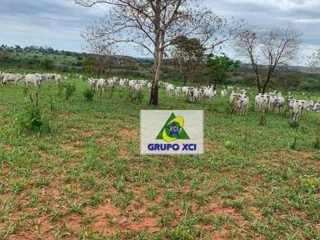Fazenda