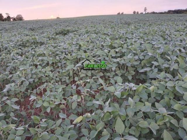 Fazenda