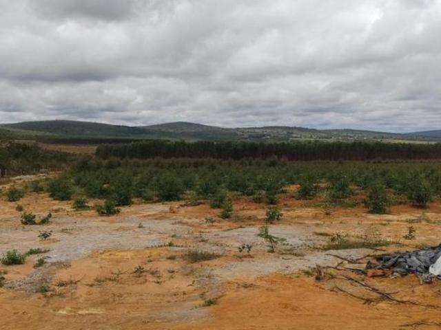 Fazenda