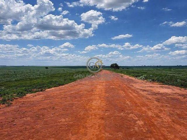 Fazenda 335 Alqueires em Naviraí MS | Lavoura de Grãos