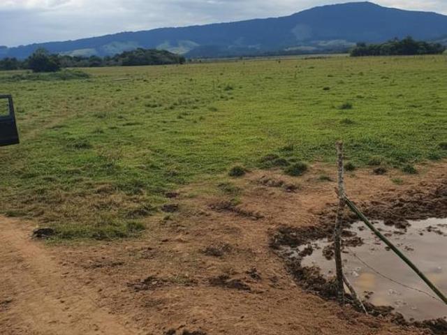 Fazenda 338,8 ha à venda em Itacolomi, Ipuiúna