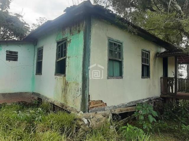 Fazenda 338,8 ha à venda em Itacolomi, Ipuiúna