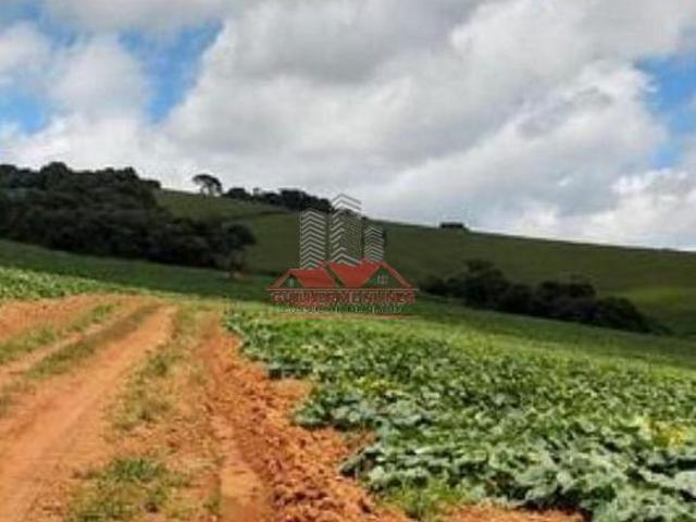 Fazenda 338ha Sul de MG: Dupla Aptidão entre Ipuiúna
