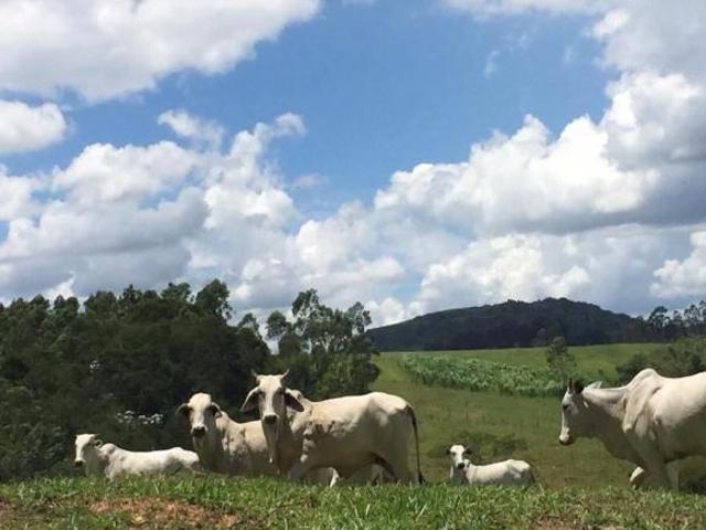 Fazenda