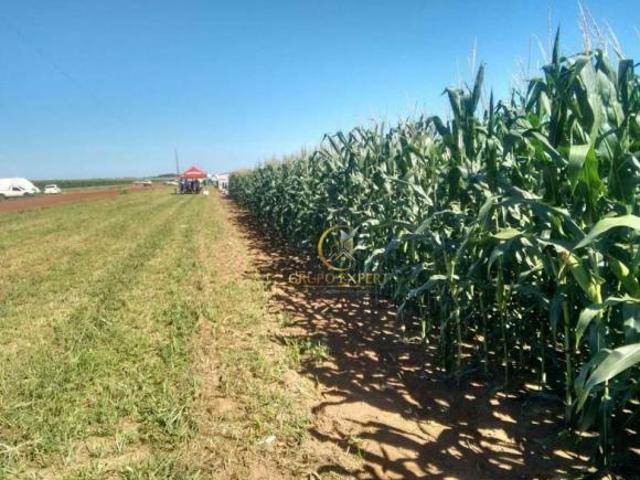 Fazenda 33 mil HA à venda na Região de Porto Alegre do Norte no MT!
