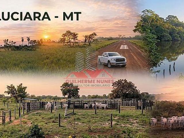 Fazenda 3.500 ha em Luciara MT | Permuta 100% no Paraná