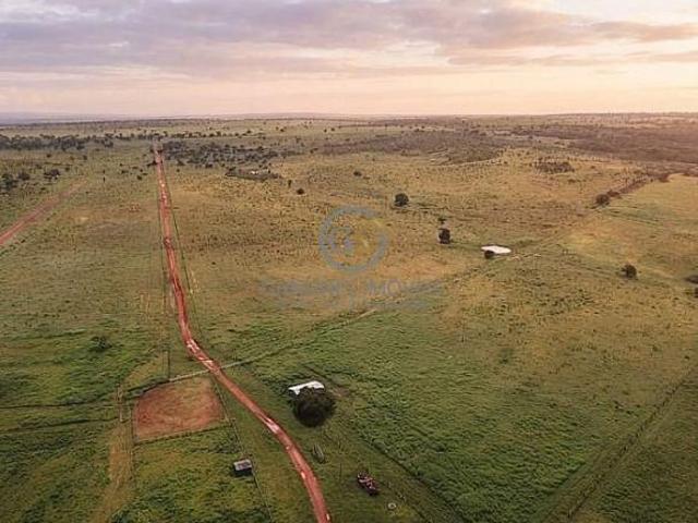 Fazenda 3.580 ha em Barra do Garças MT | Dupla Aptidão