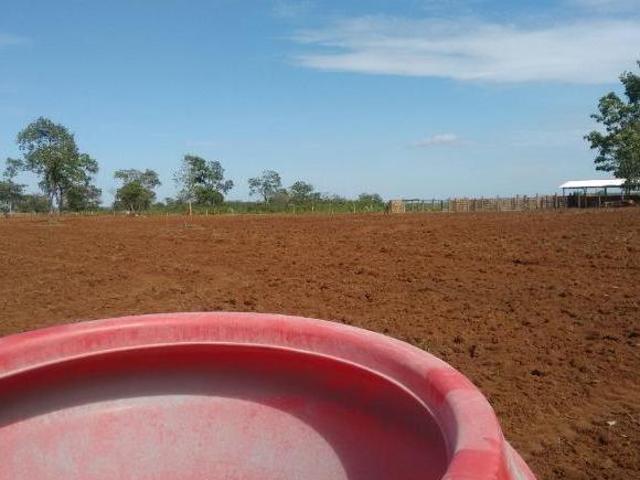 Fazenda
