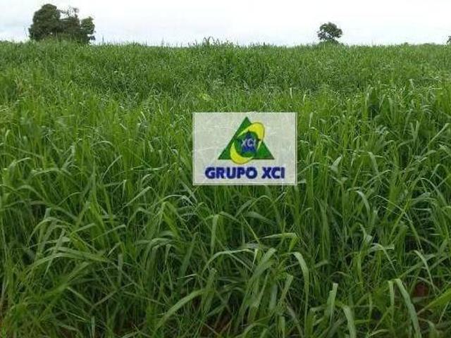 Fazenda