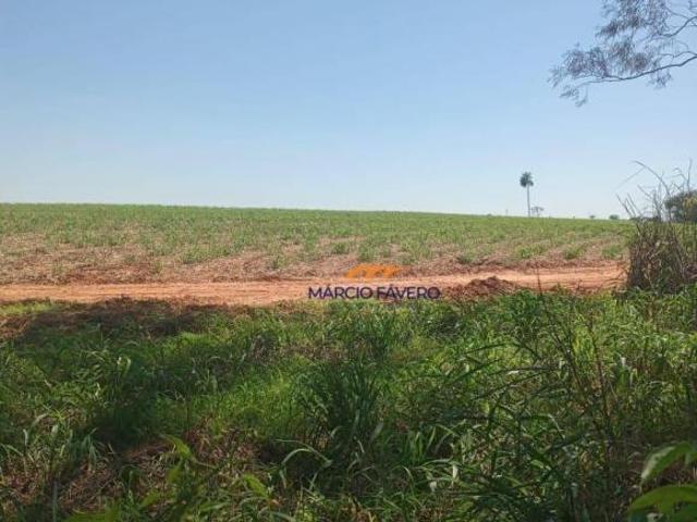 Fazenda