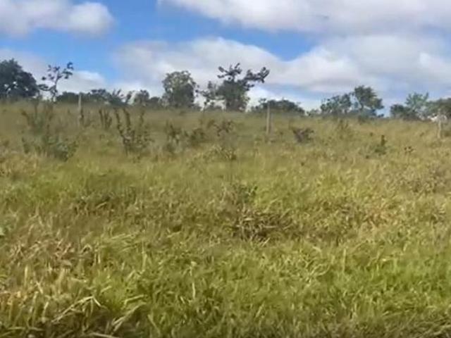 Fazenda