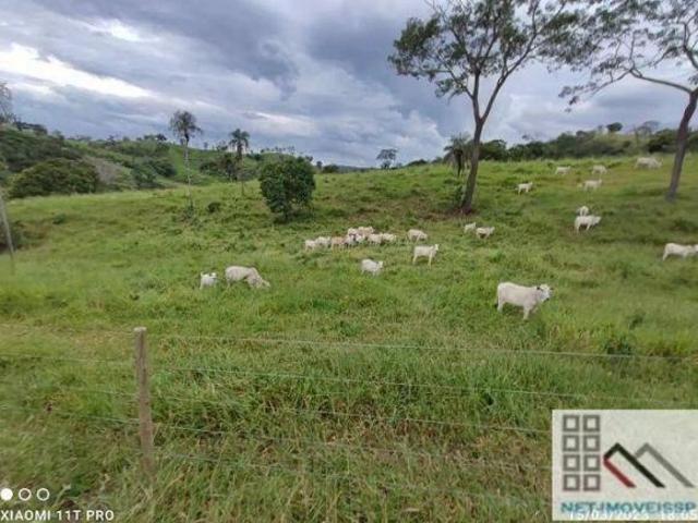 Fazenda