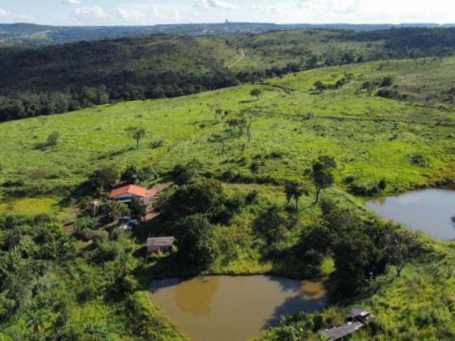 Fazenda 44 Alqueires Pecuária