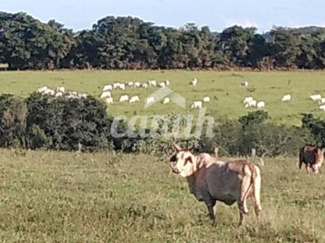 Fazenda