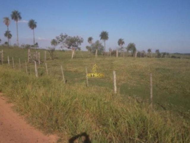 Fazenda para venda em Centro, Marília
