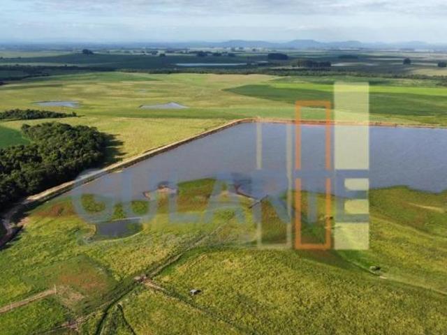 Fazenda