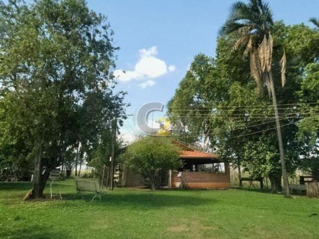 Fazenda 45 alqueires ? a 5 km de General Salgado/SP