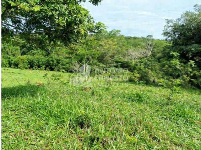 FAZENDA 45 HECTARES CURVELO/MG