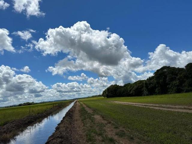 Fazenda