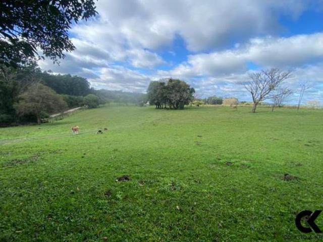 Fazenda