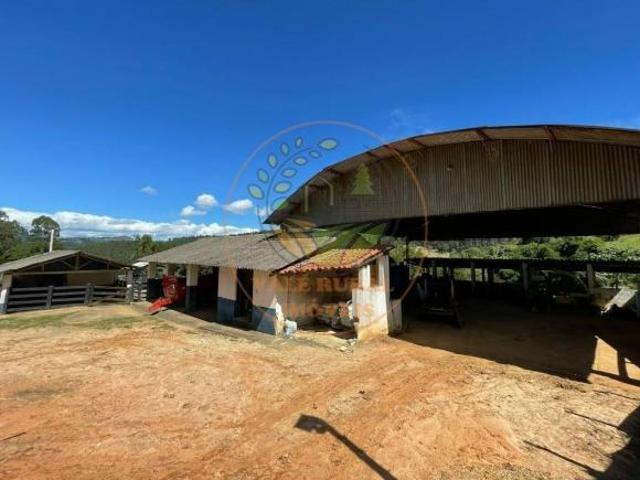 Fazenda
