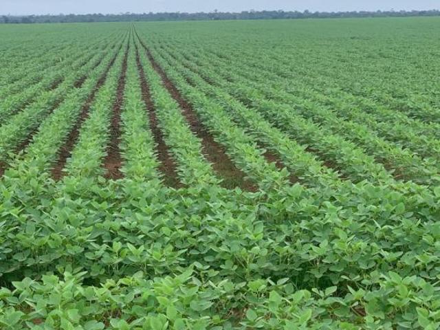 Fazenda