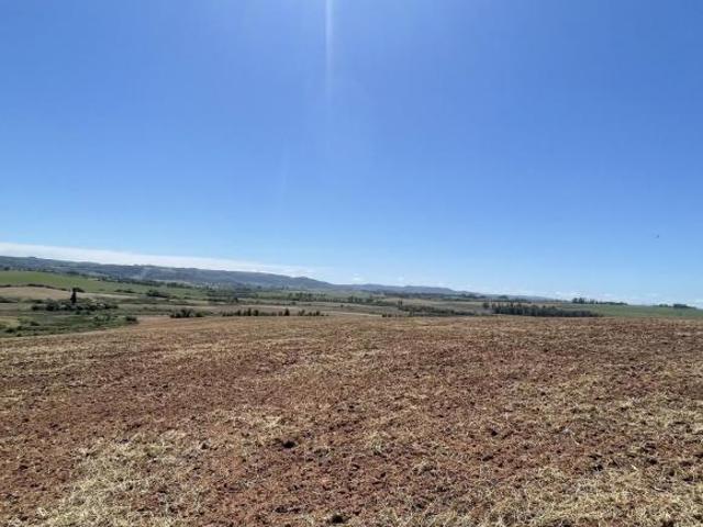 Fazenda