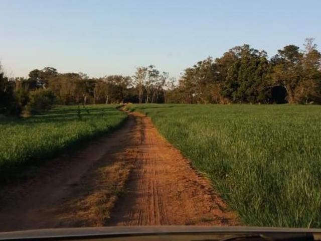 Fazenda 46 Alqueires, Rica em Água com Rio, 22 Alqueires em Plantio, 10 Alqueires em Eucalipto, Apro