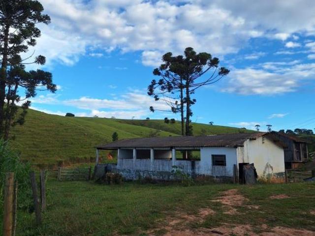 Fazenda para venda em São Benedito, Guaratinguetá