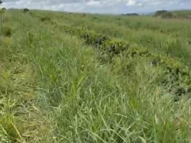 Fazenda