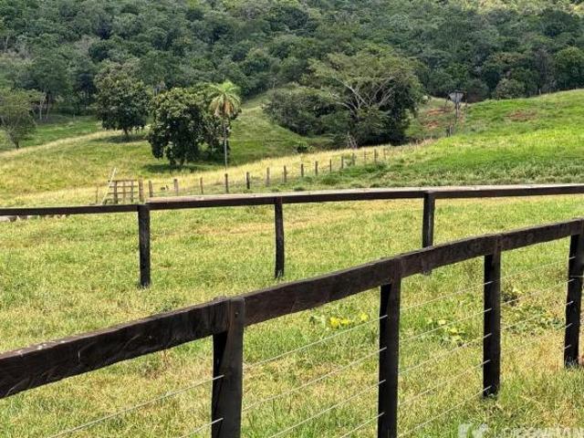 Fazenda