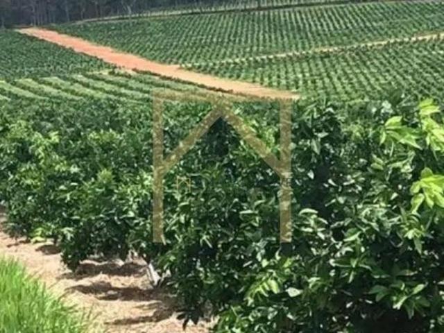 Fazenda