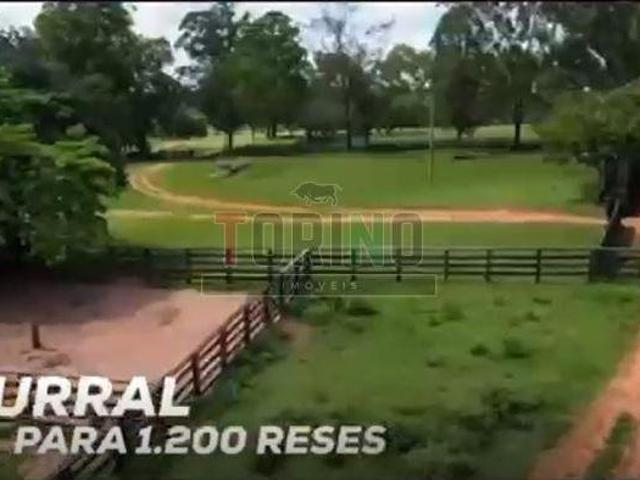 Fazenda