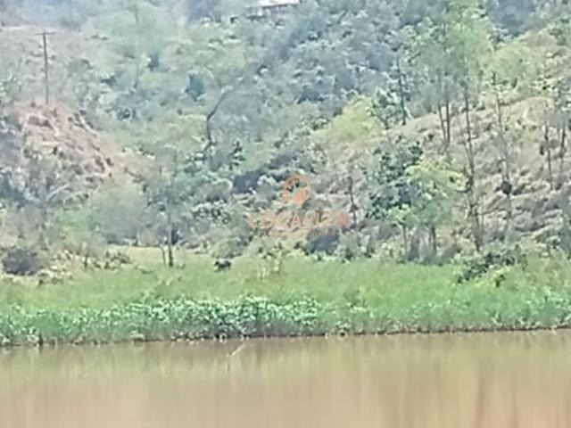 Fazenda