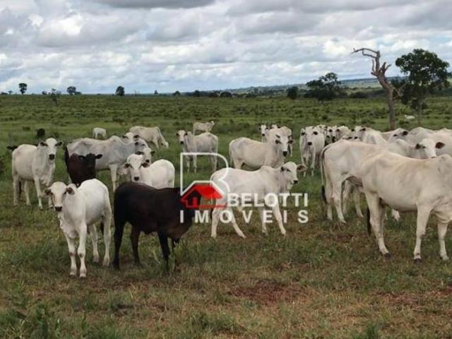 Fazenda