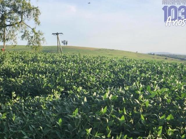 Fazenda